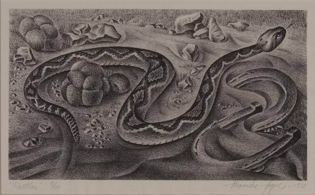 Dallas Museum of Art